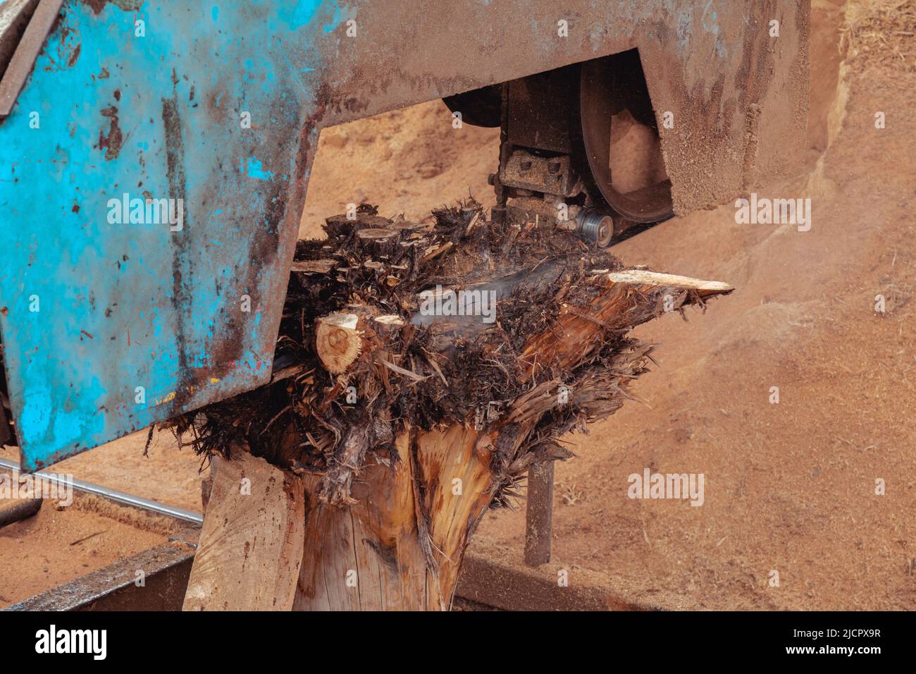 Sawing machine cutting tree log at wood production factory. Timber ...