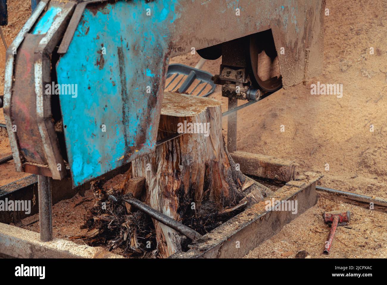 Sawing machine cutting tree log at wood production factory. Timber ...