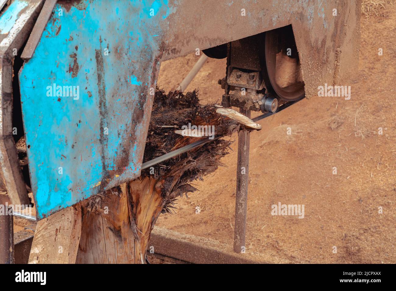 Sawing machine cutting tree log at wood production factory. Timber ...