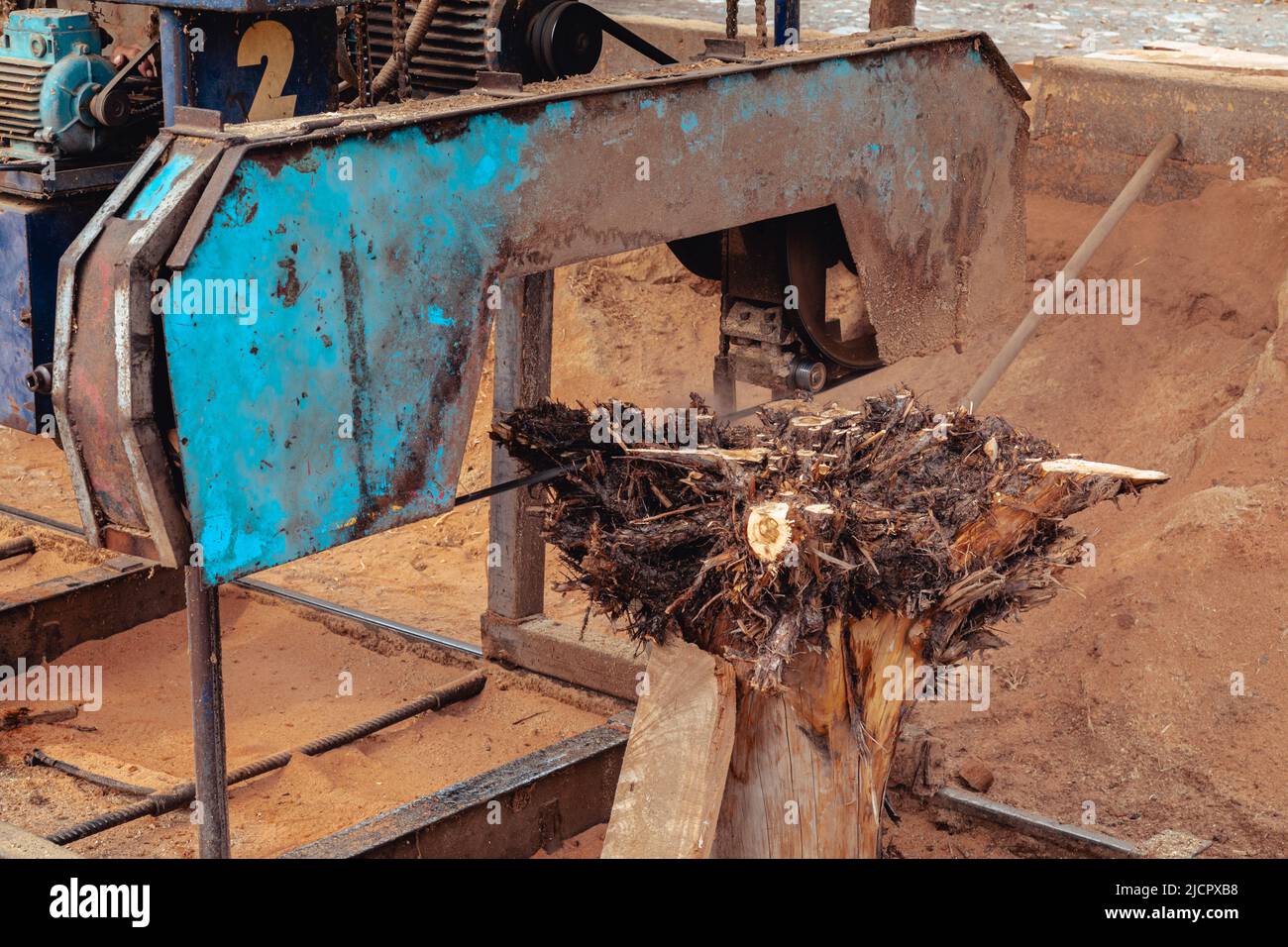 Sawing machine cutting tree log at wood production factory. Timber ...