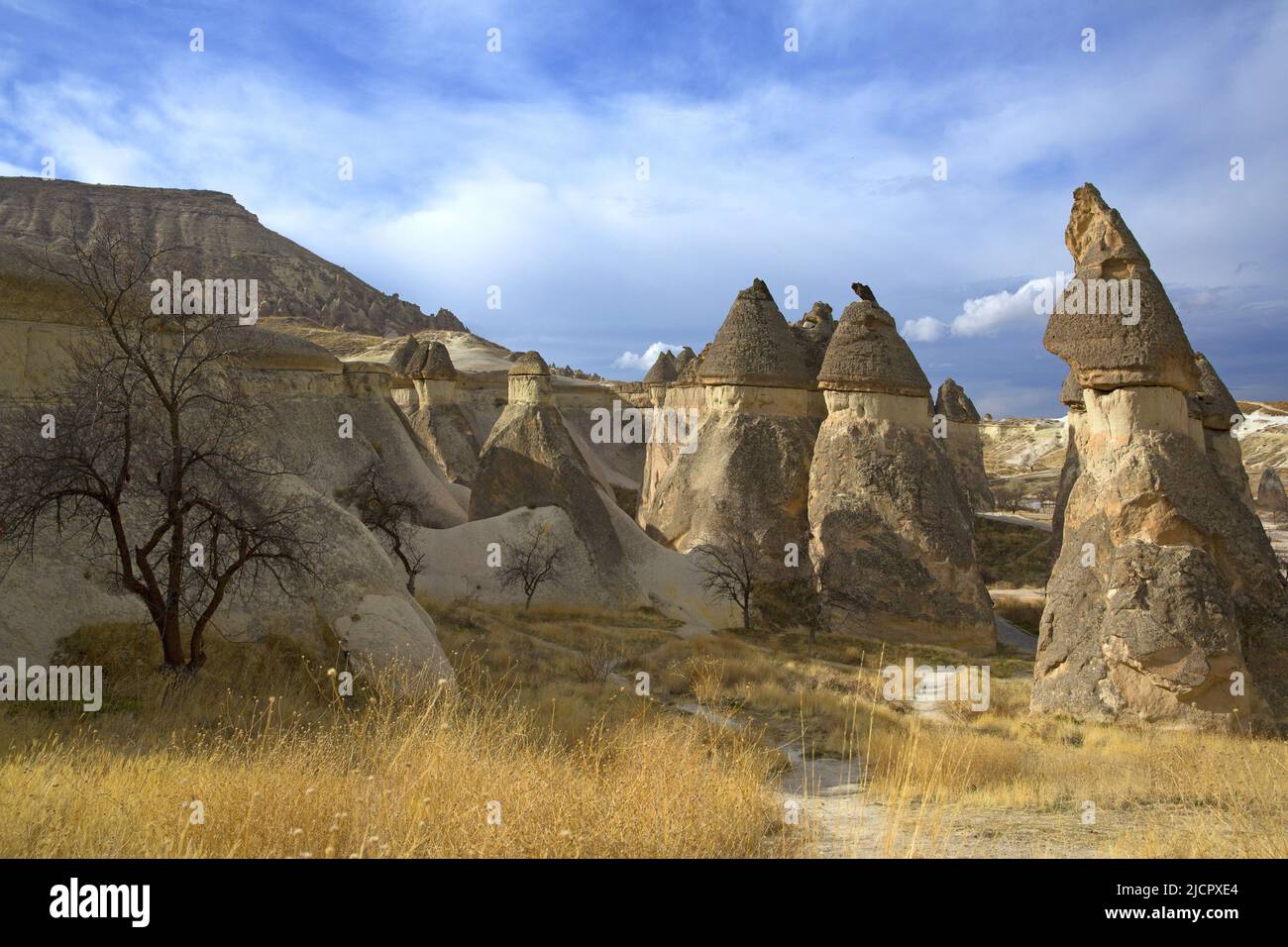 Turkey, Cappadocia, Pasabag, natural landscape Heritage of the UNESCO ...