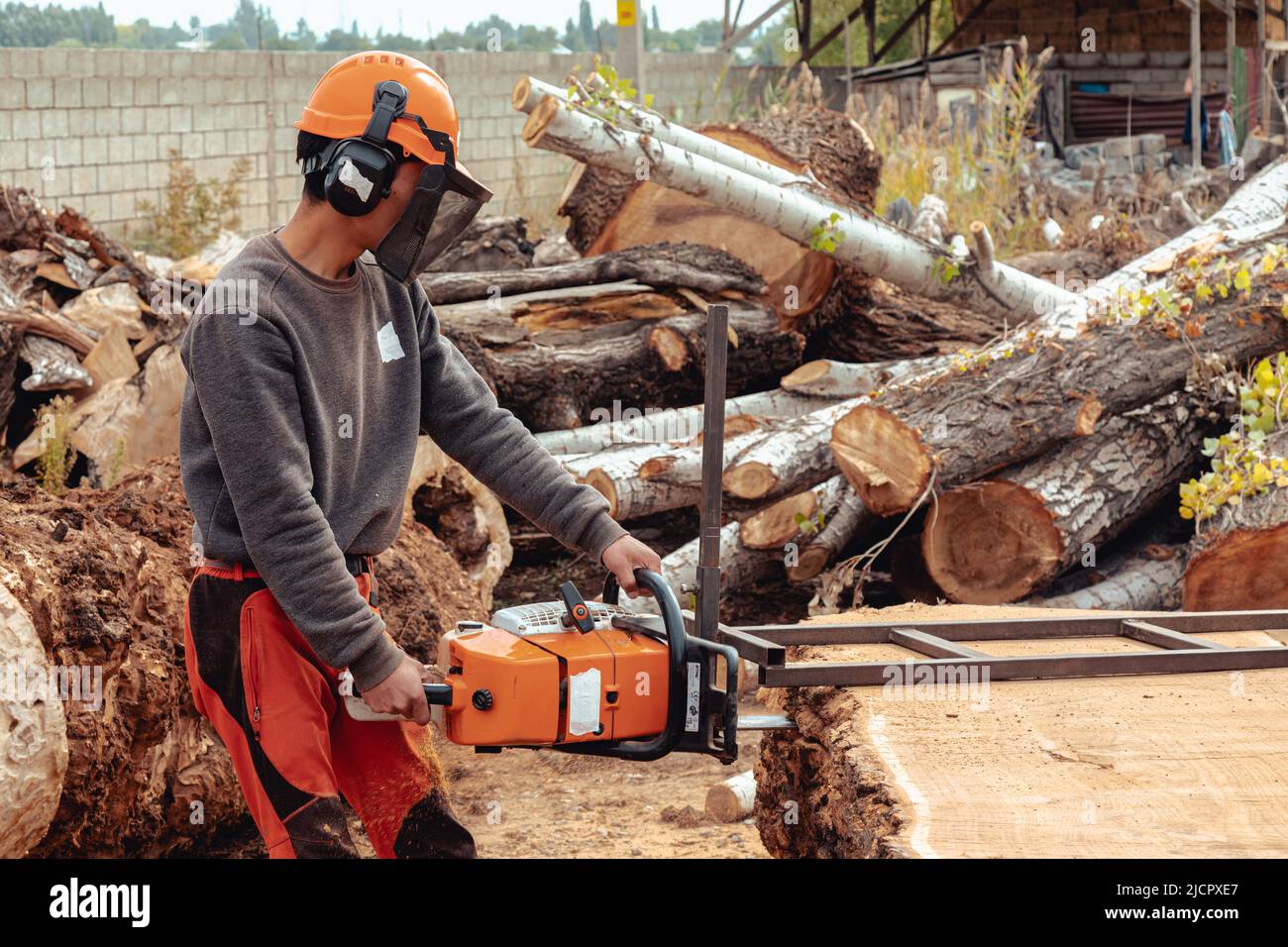 Lumberjack cutting tree trunk with giant chainsaw to make wooden planks ...