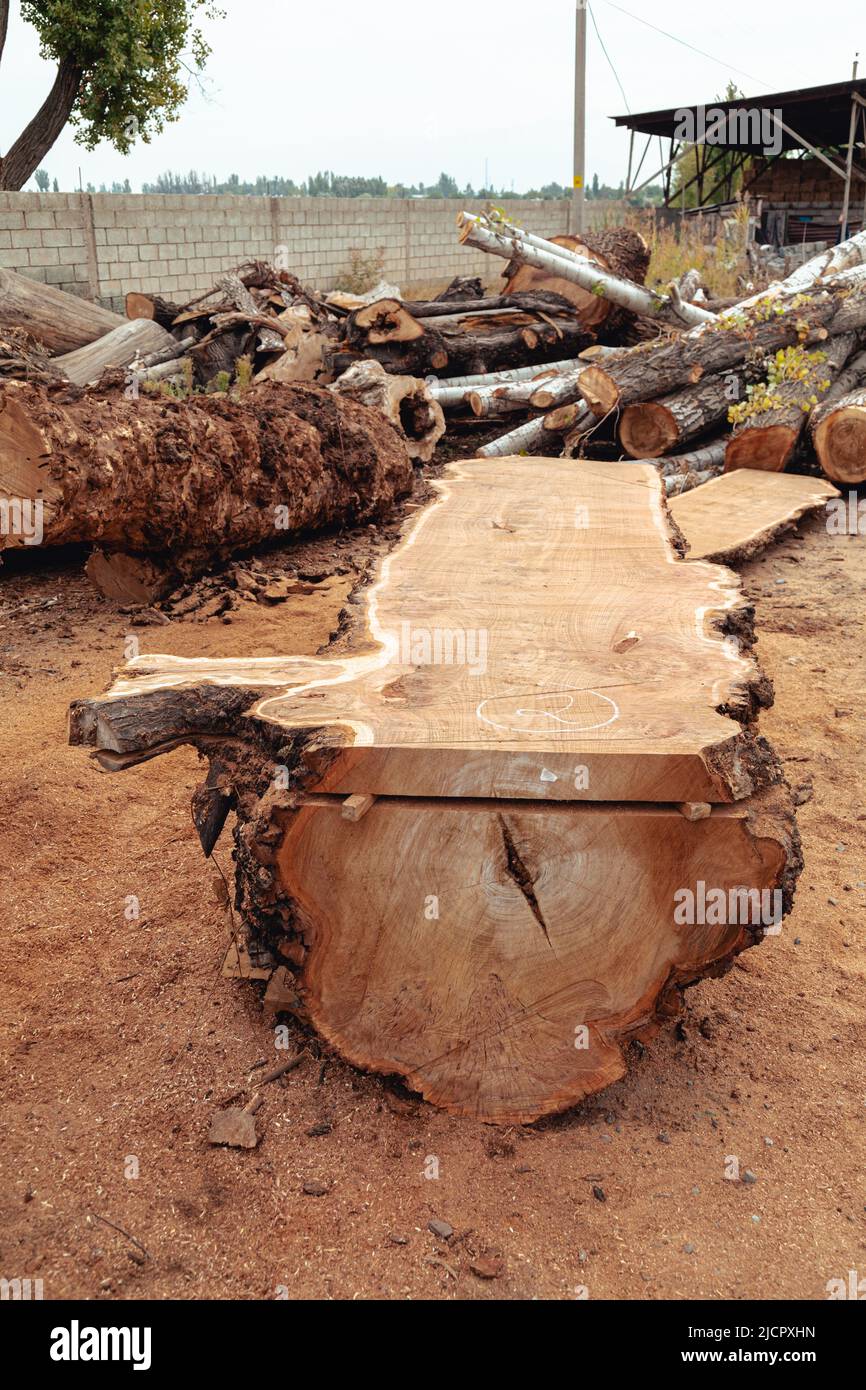 Cut tree trunk in the sawmill. Wood production Stock Photo - Alamy