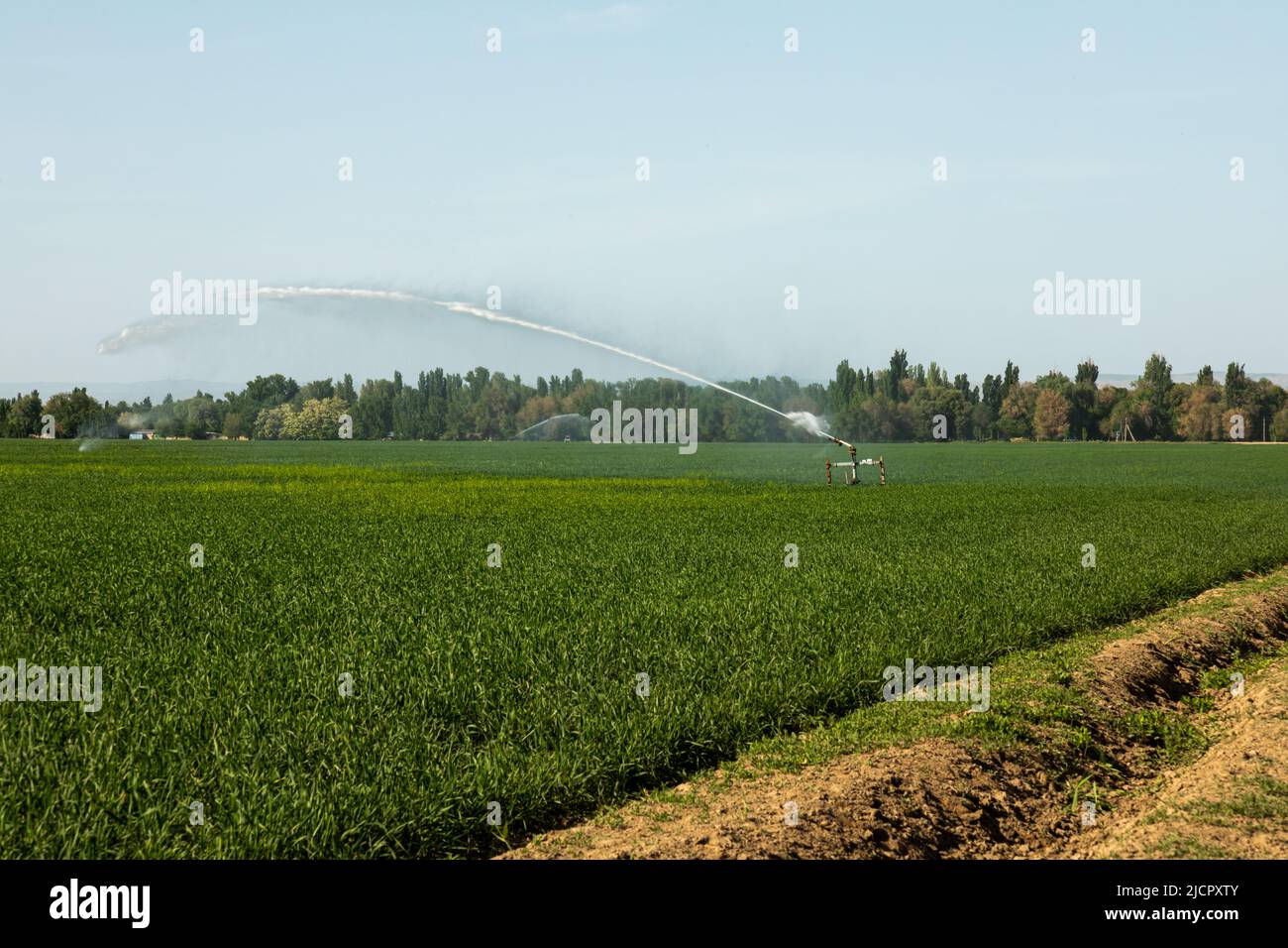 Guns Sprinkler Irrigation System Watering Wheat Field Stock Photo - Alamy