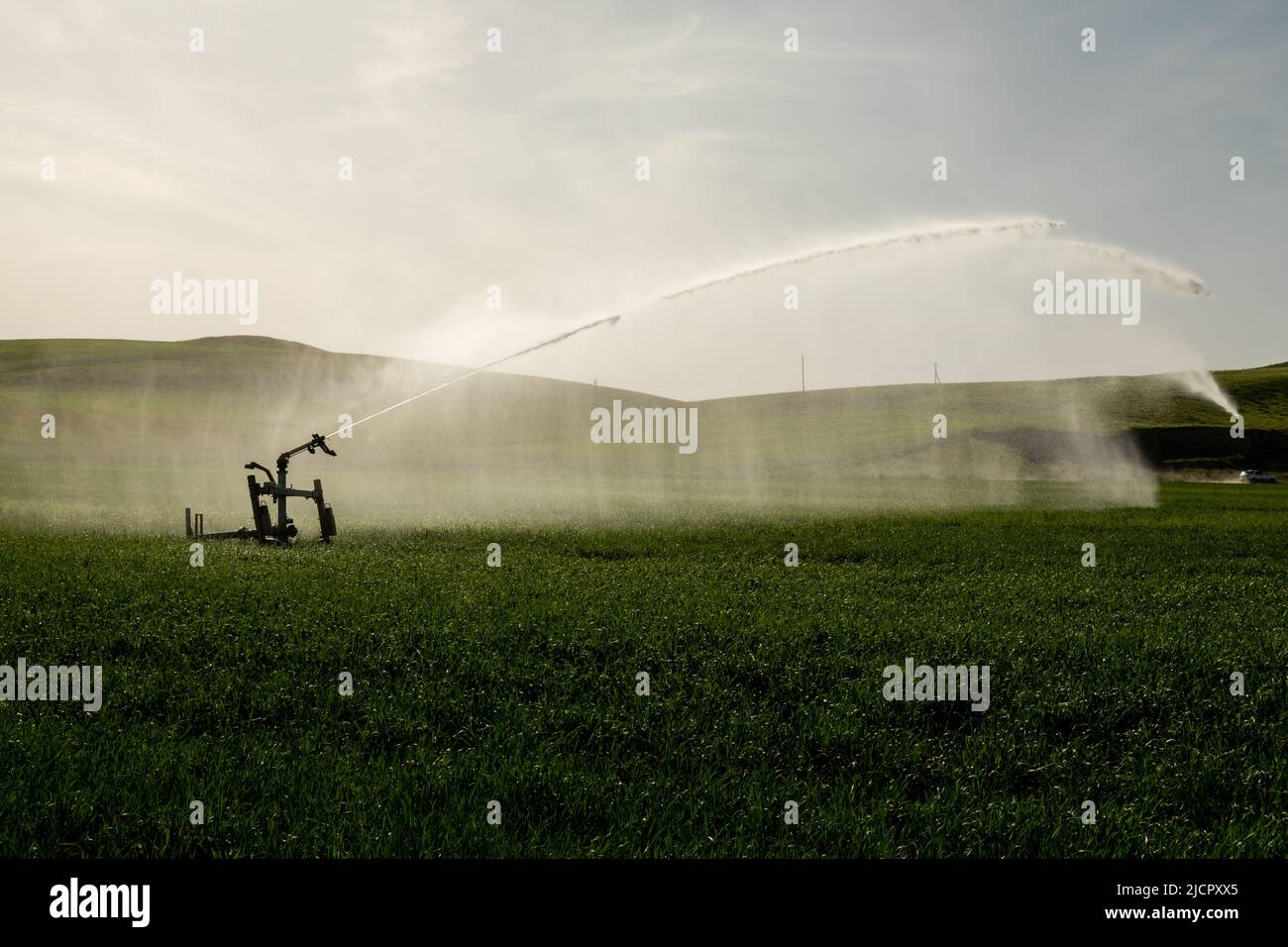 Guns Sprinkler Irrigation System Watering Wheat Field Stock Photo - Alamy