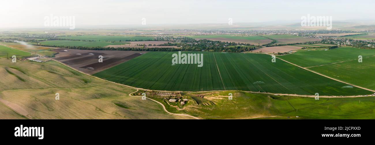 Aerial panoramic view of green agriculture fields with growing crops ...