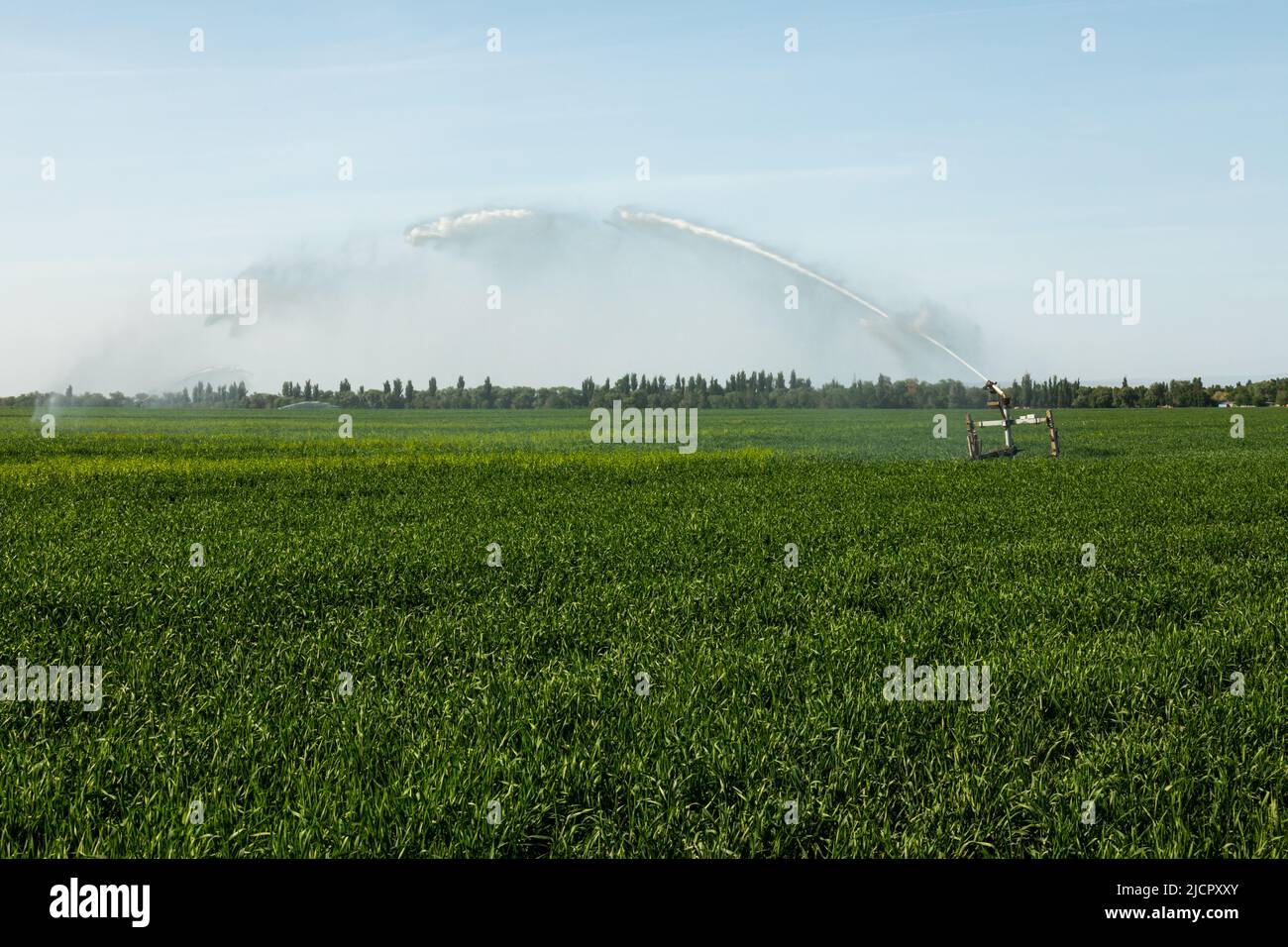 Guns Sprinkler Irrigation System Watering Wheat Field Stock Photo - Alamy