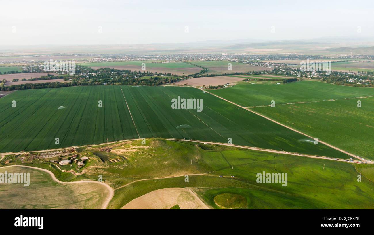 Aerial view of green agriculture fields with growing crops Stock Photo ...