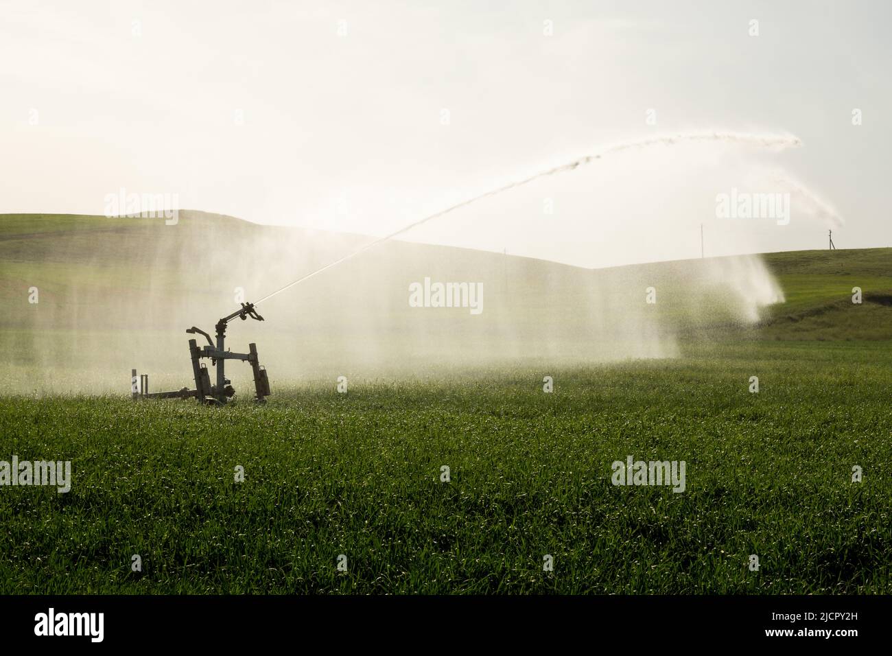 Guns Sprinkler Irrigation System Watering Wheat Field Stock Photo - Alamy