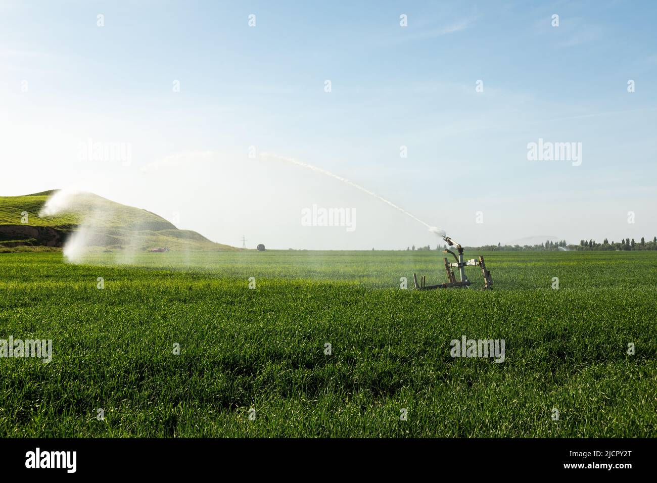 Guns Sprinkler Irrigation System Watering Wheat Field Stock Photo - Alamy