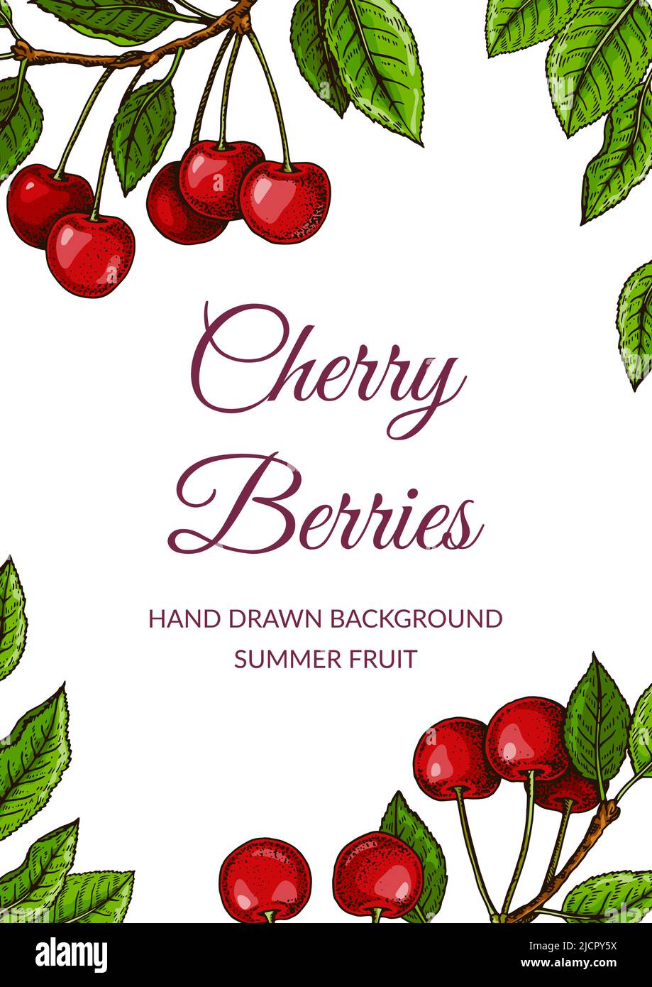 Colorful vertical cherry design. Vector illustration in colored sketch ...