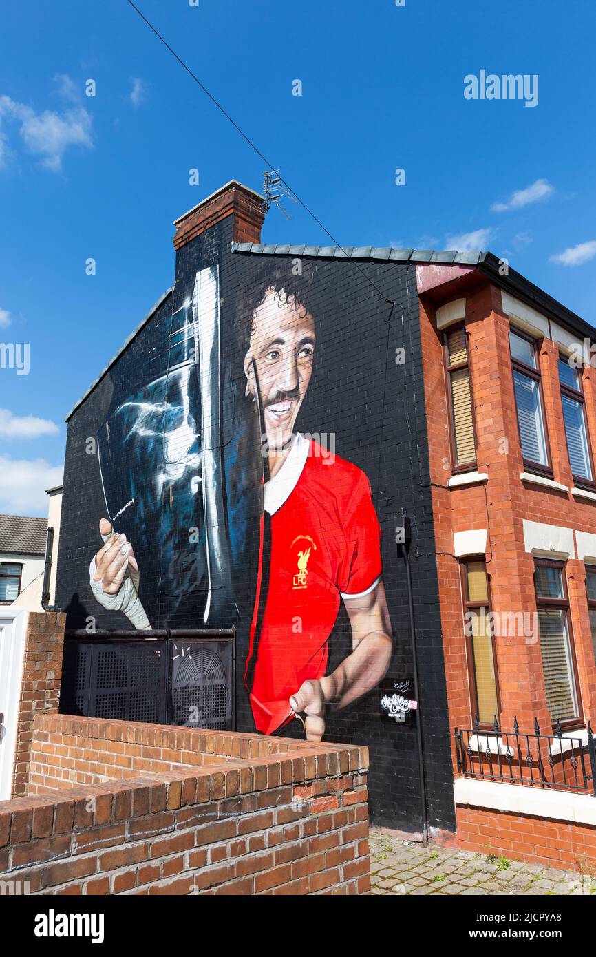 Mural of Alan Kennedy holding the 1981 European Cup, Liverpool FC ...