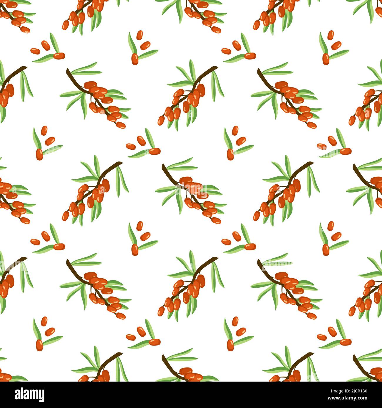 Sea buckthorn branch berries Stock Vector Images - Alamy