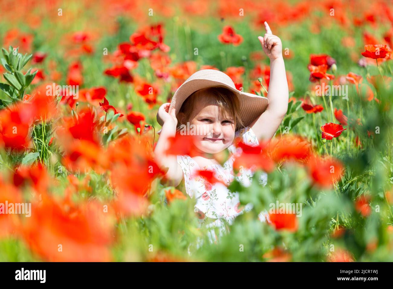 Three year old girl in a poppy field, UK 2022 Stock Photo - Alamy