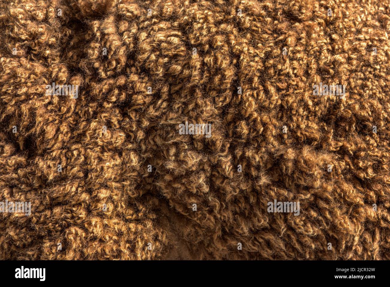 Alpaca wool macro hi-res stock photography and images - Alamy