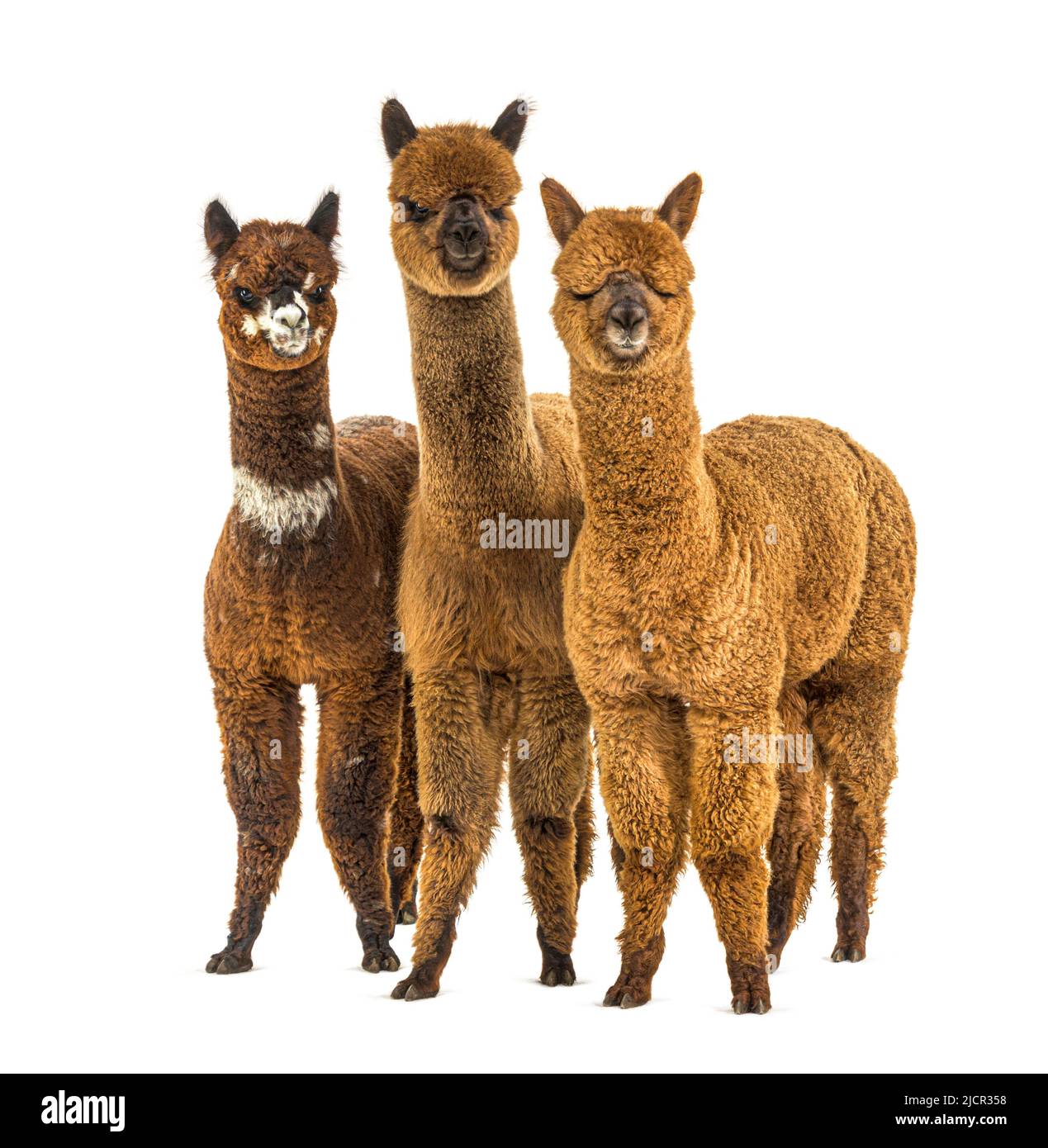 Different colors in a row hi-res stock photography and images - Alamy