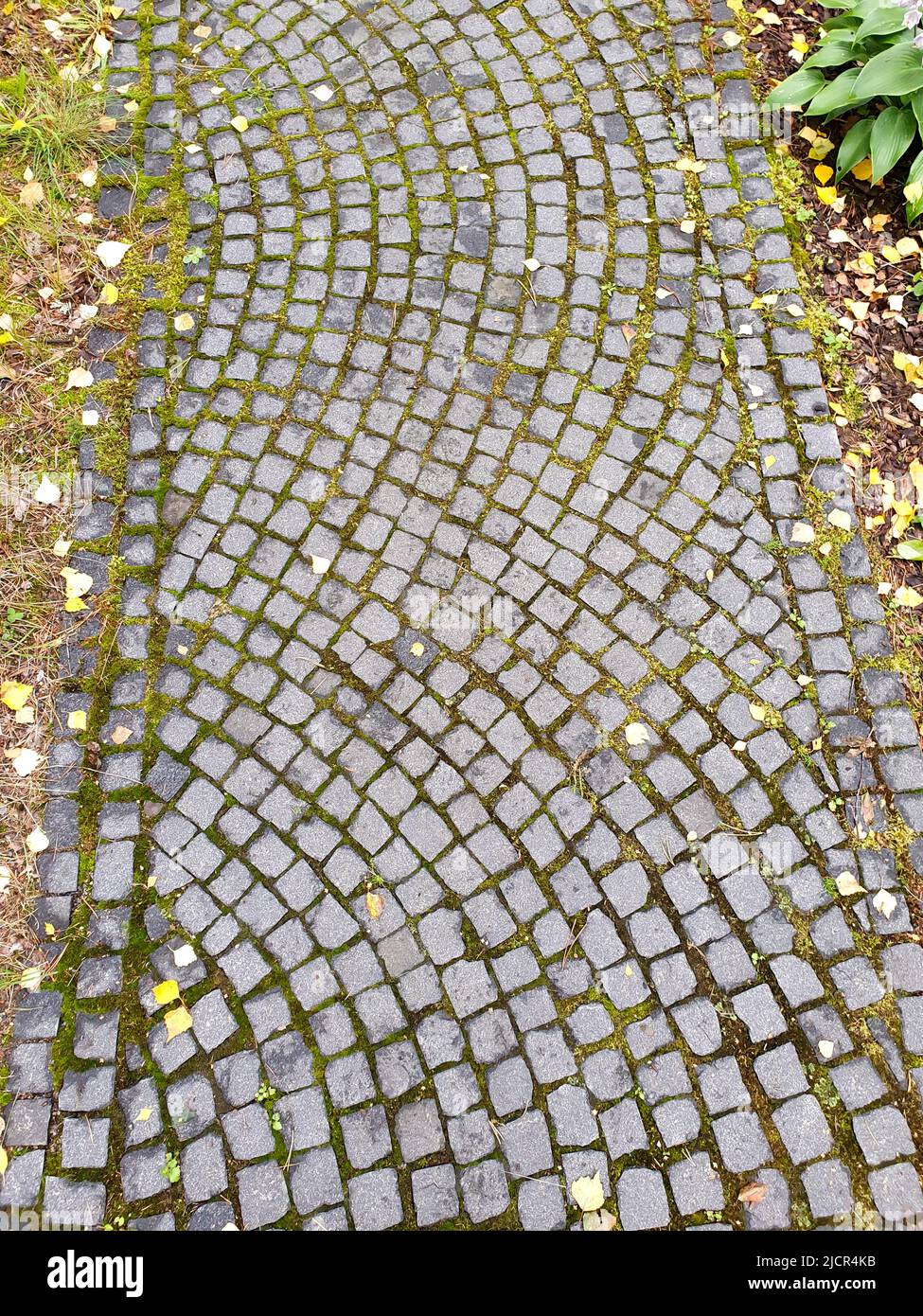 Small outdoor tiles. Pavement of granite and moss. Garden. Top view ...