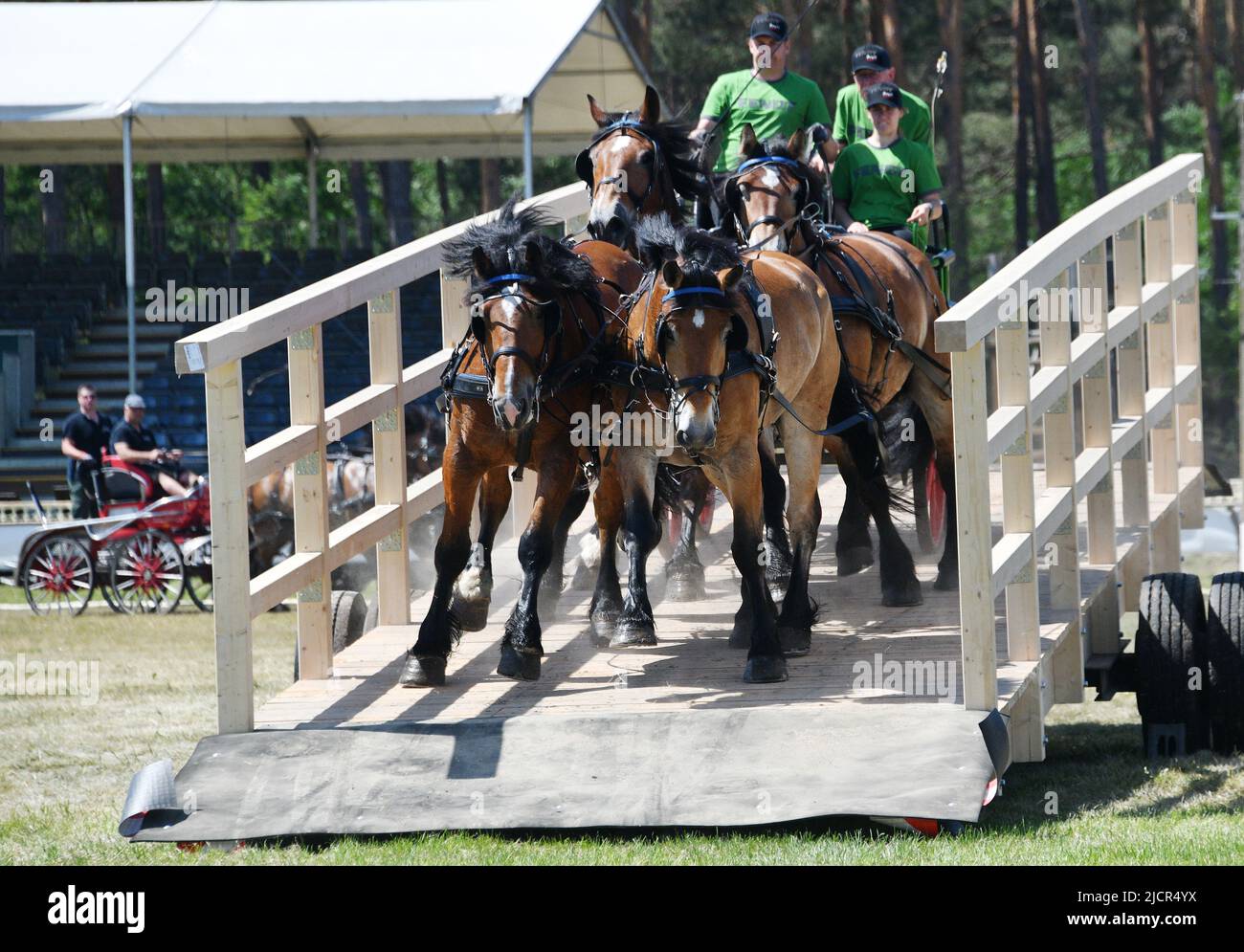15 June 2022, Brandenburg, Brück: A four-in-hand carriage drives over a ...