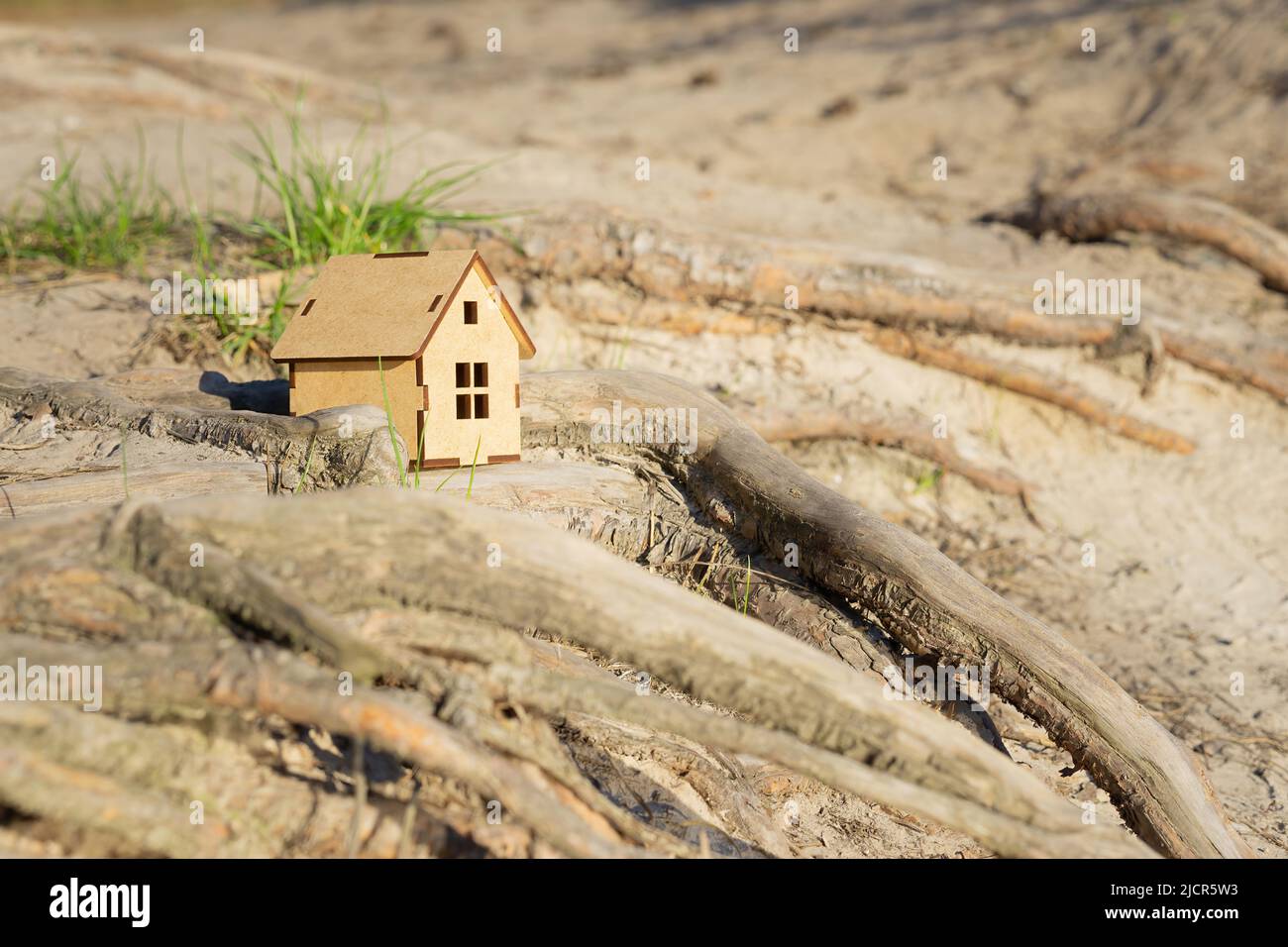 Strong roots coming from a tiny wooden house model placed on a sandy ...