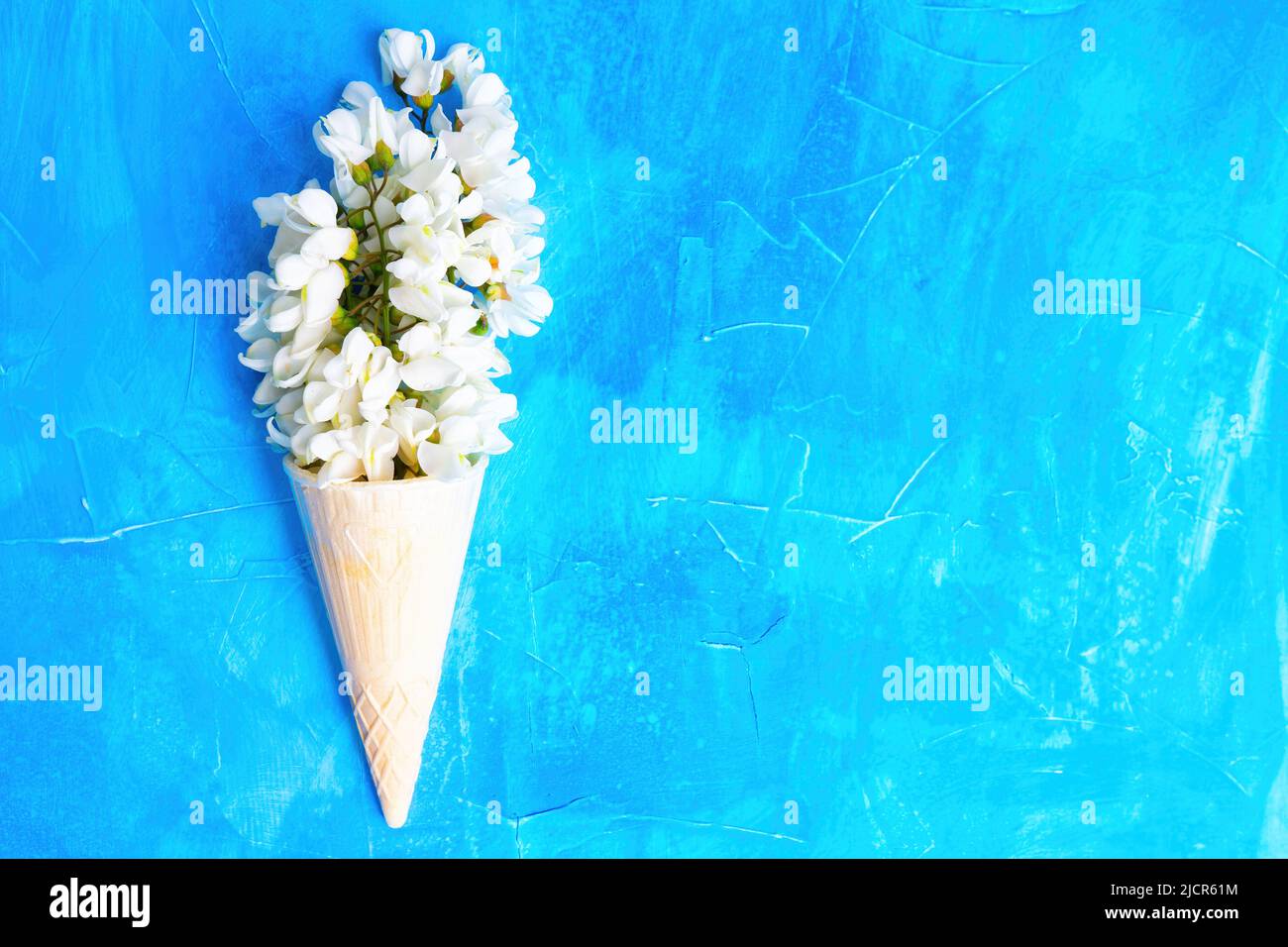 Cone ice cream shape made from white acacia petals on blue. Clean ...