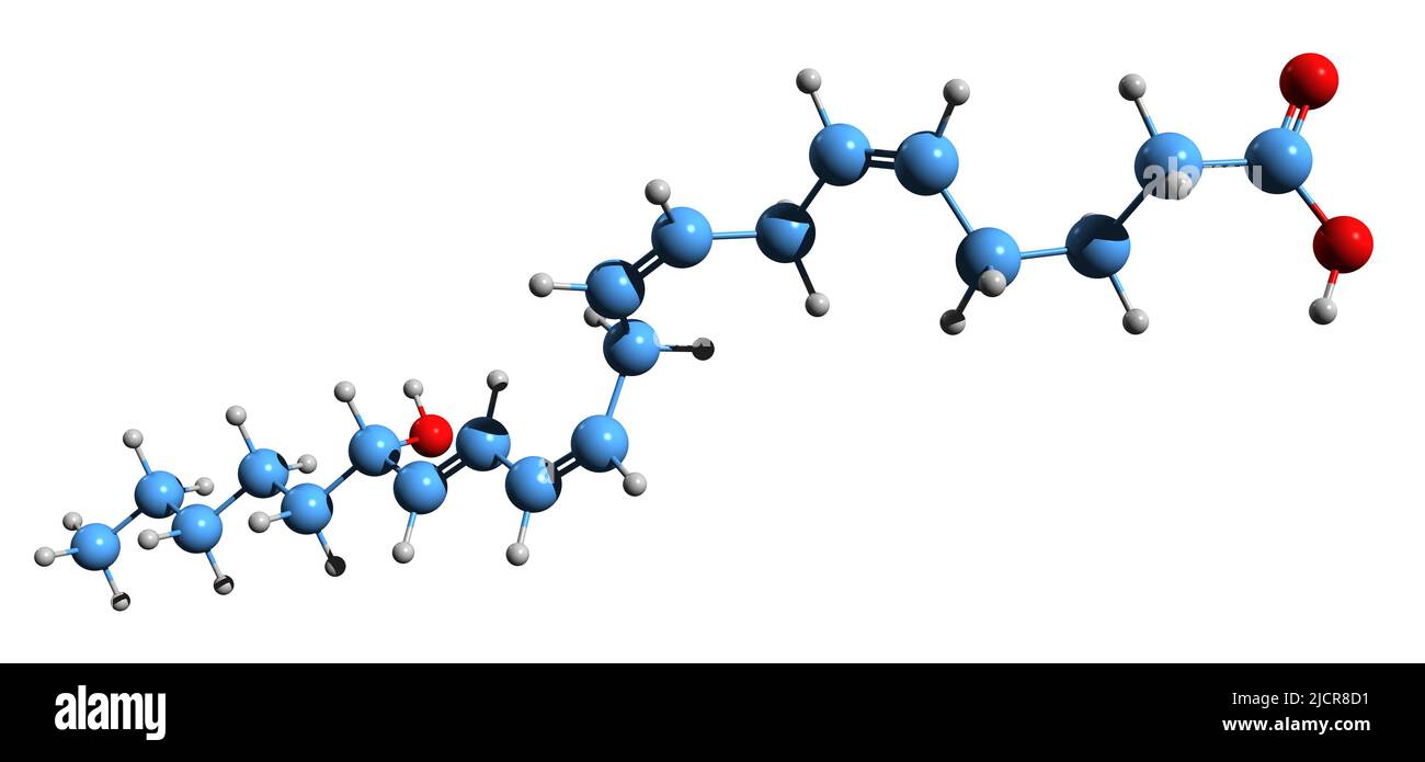 3D image of 15-Hydroxyeicosatetraenoic acid skeletal formula ...