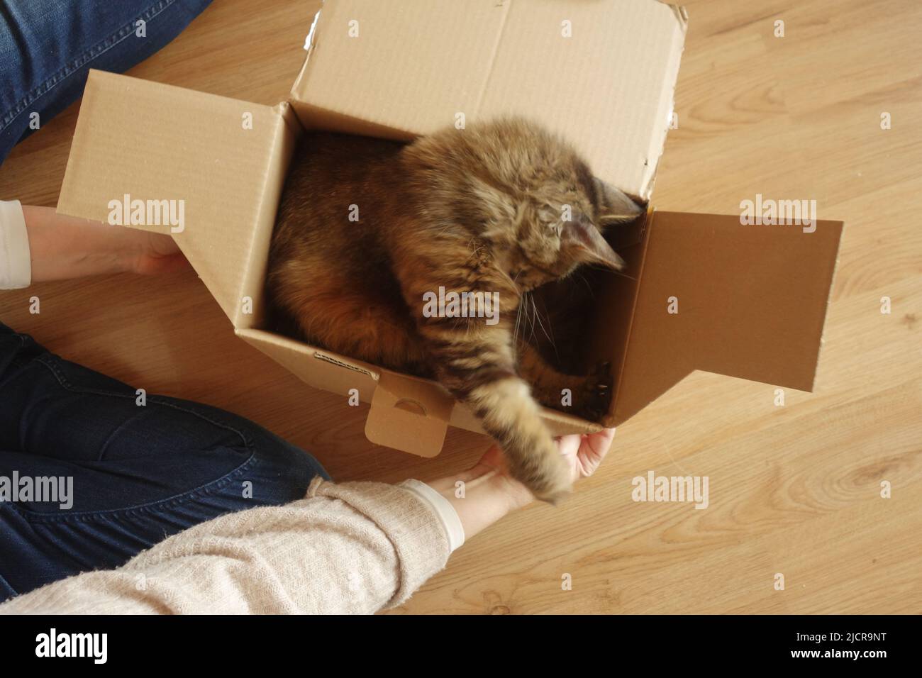 Playing in cardboard box hi-res stock photography and images - Alamy