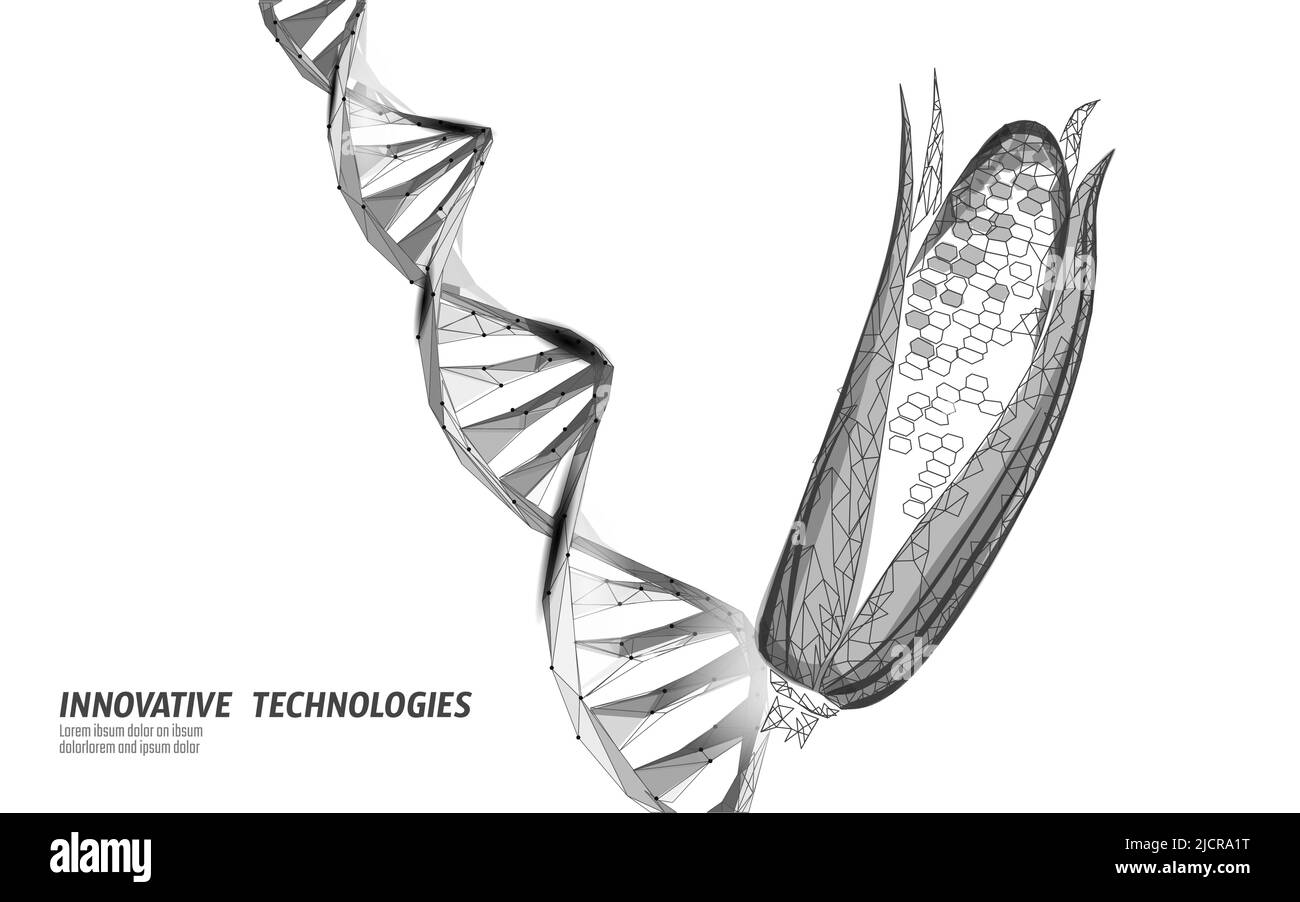 3D corn grain gene GMO. World food Day hunger awareness. Help charity ...