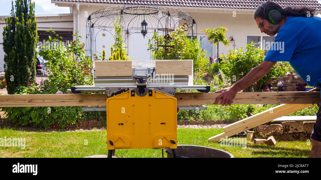 Planer tree hi-res stock photography and images - Alamy