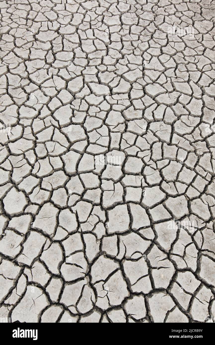 Drought, cracked mud. Germany Stock Photo - Alamy