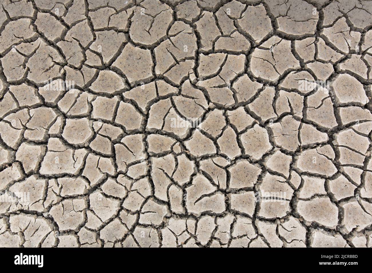 Drought, cracked mud. Germany Stock Photo - Alamy