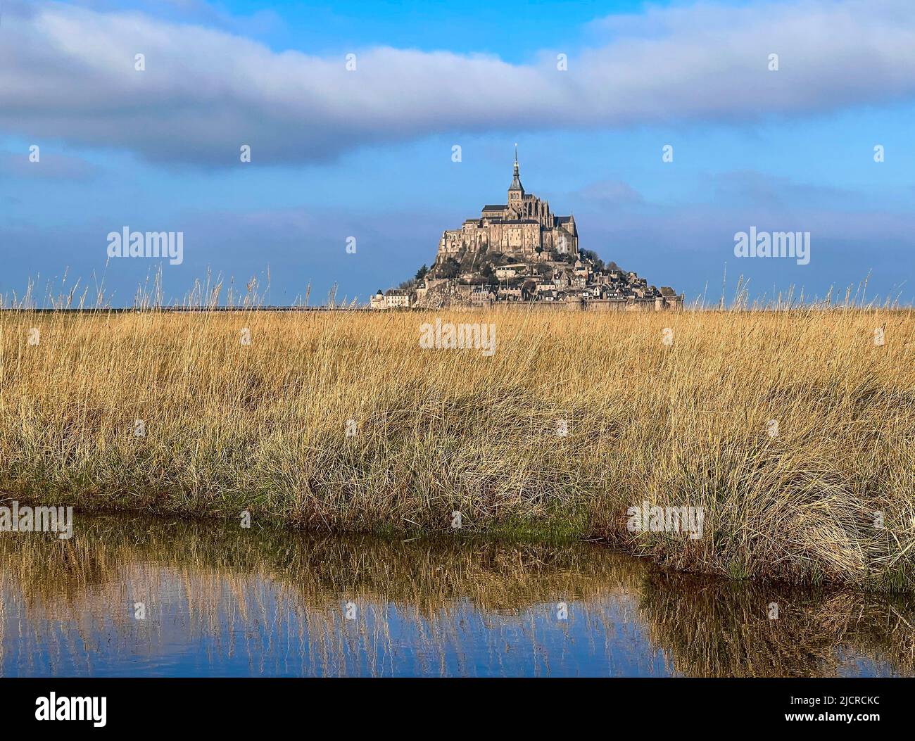 Salt marsh and Mont Saint-Michel landscape in normandy, UNESCO World ...