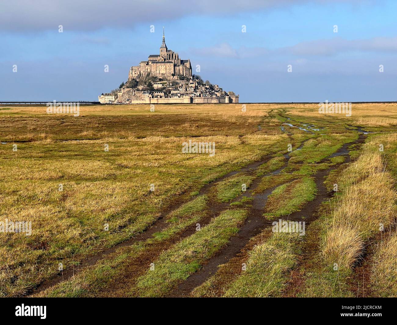 Salt marsh and Mont Saint-Michel landscape in normandy, UNESCO World ...