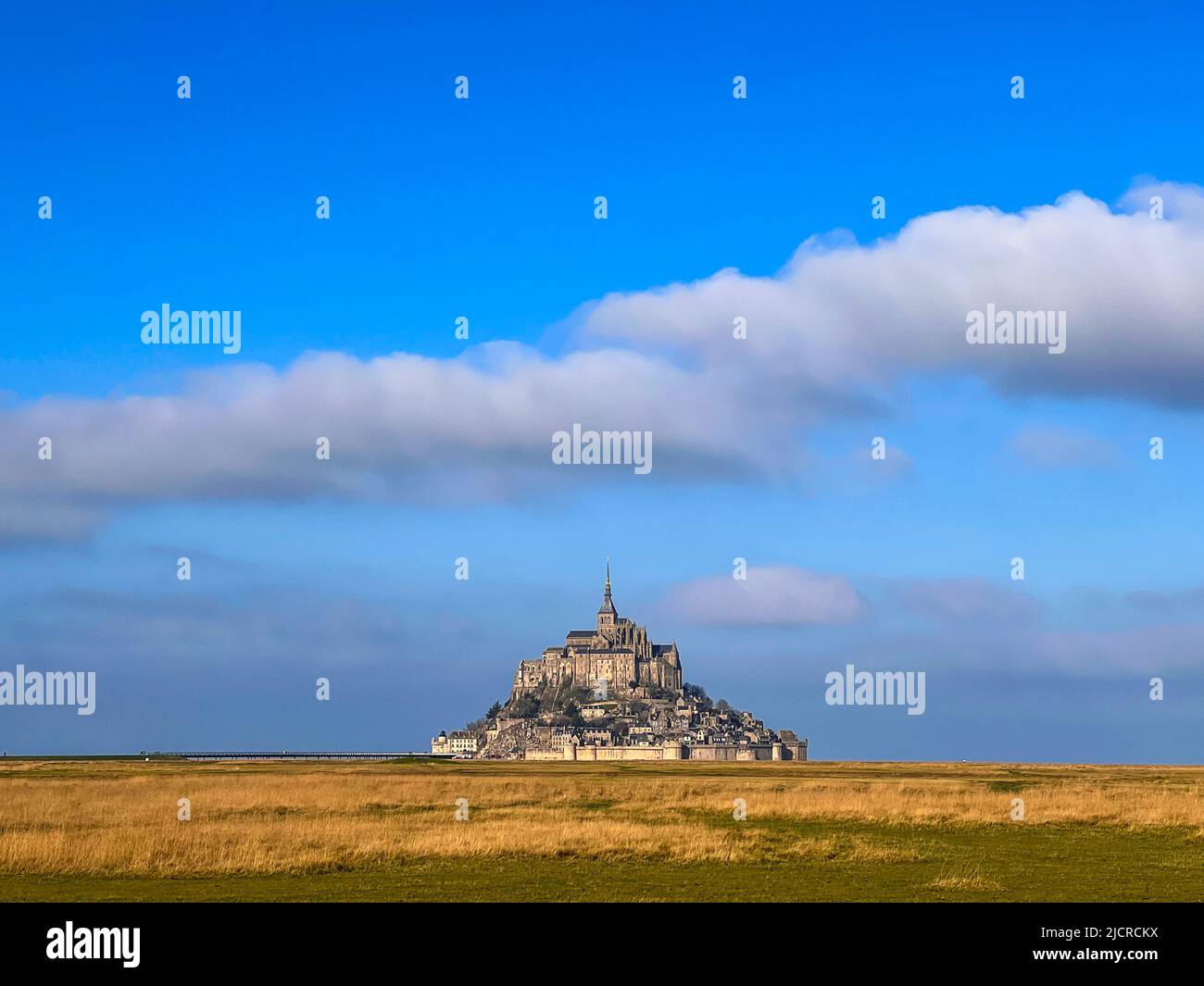 Salt marsh and Mont Saint-Michel landscape in normandy, UNESCO World ...
