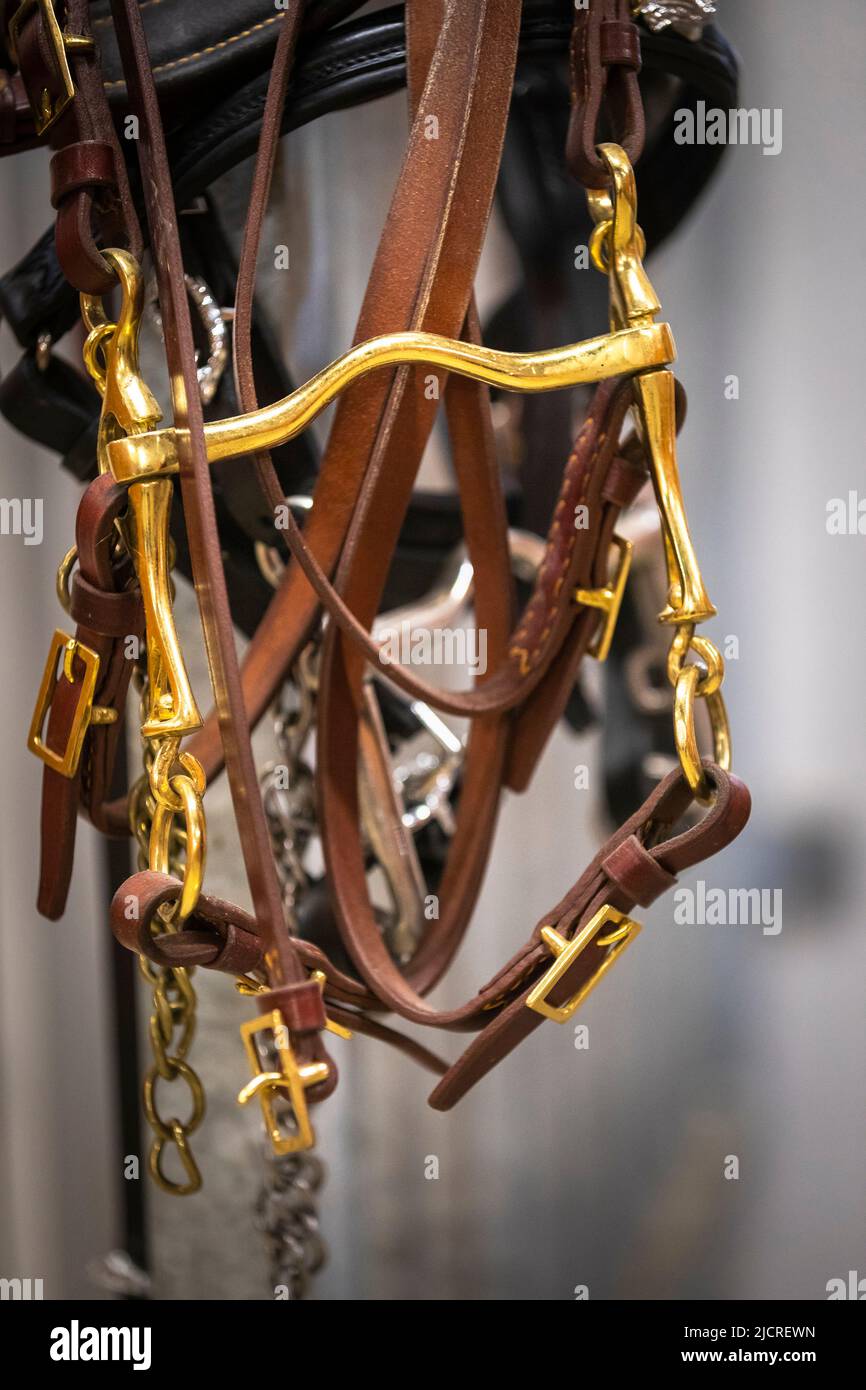 Curb bit hi-res stock photography and images - Alamy