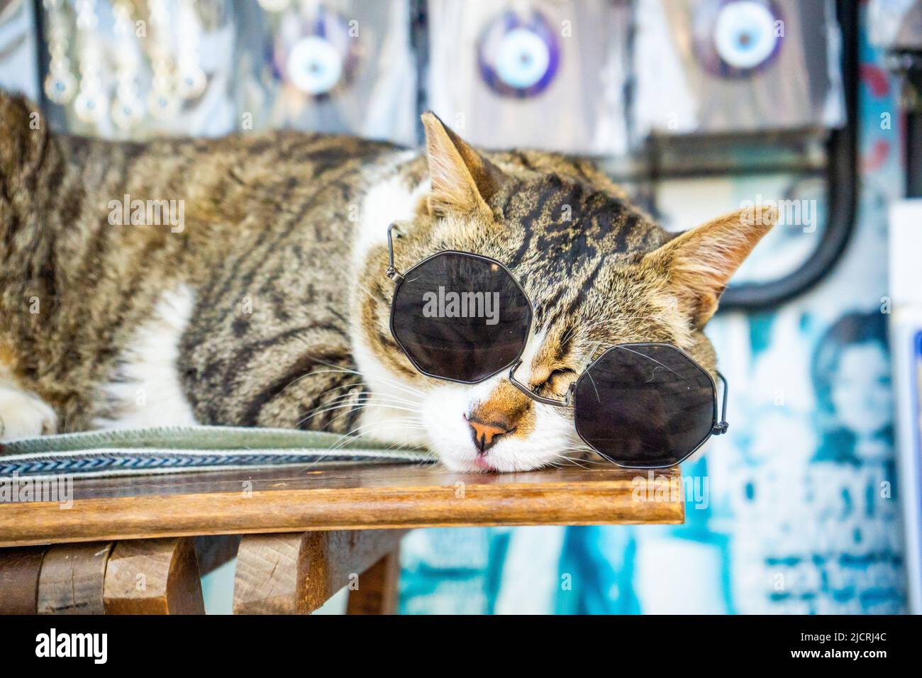 Istanbul, Turkey - May 28, 2022: Famous cat in sunglasses at on turkish ...