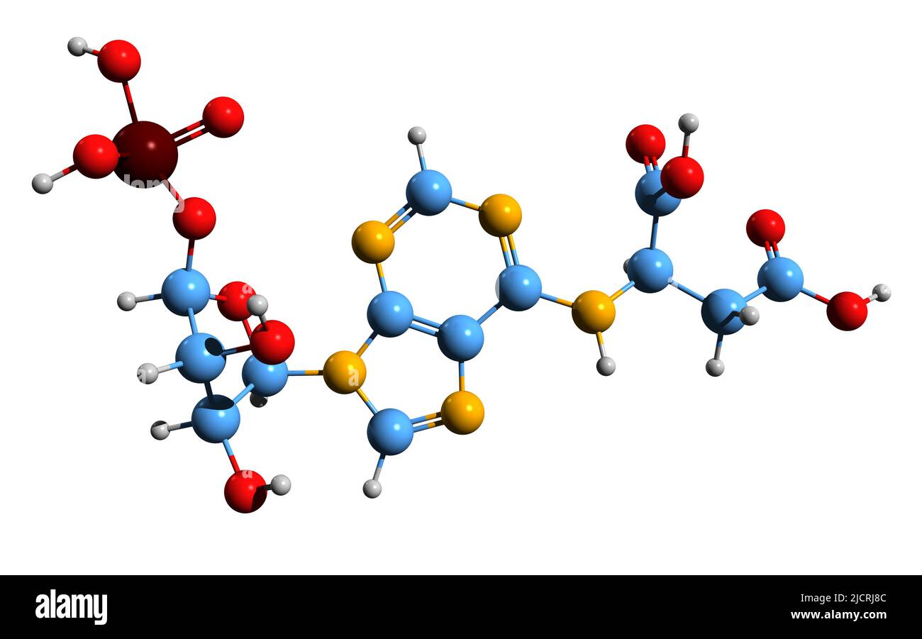 Amp Molecule Chemical Formula