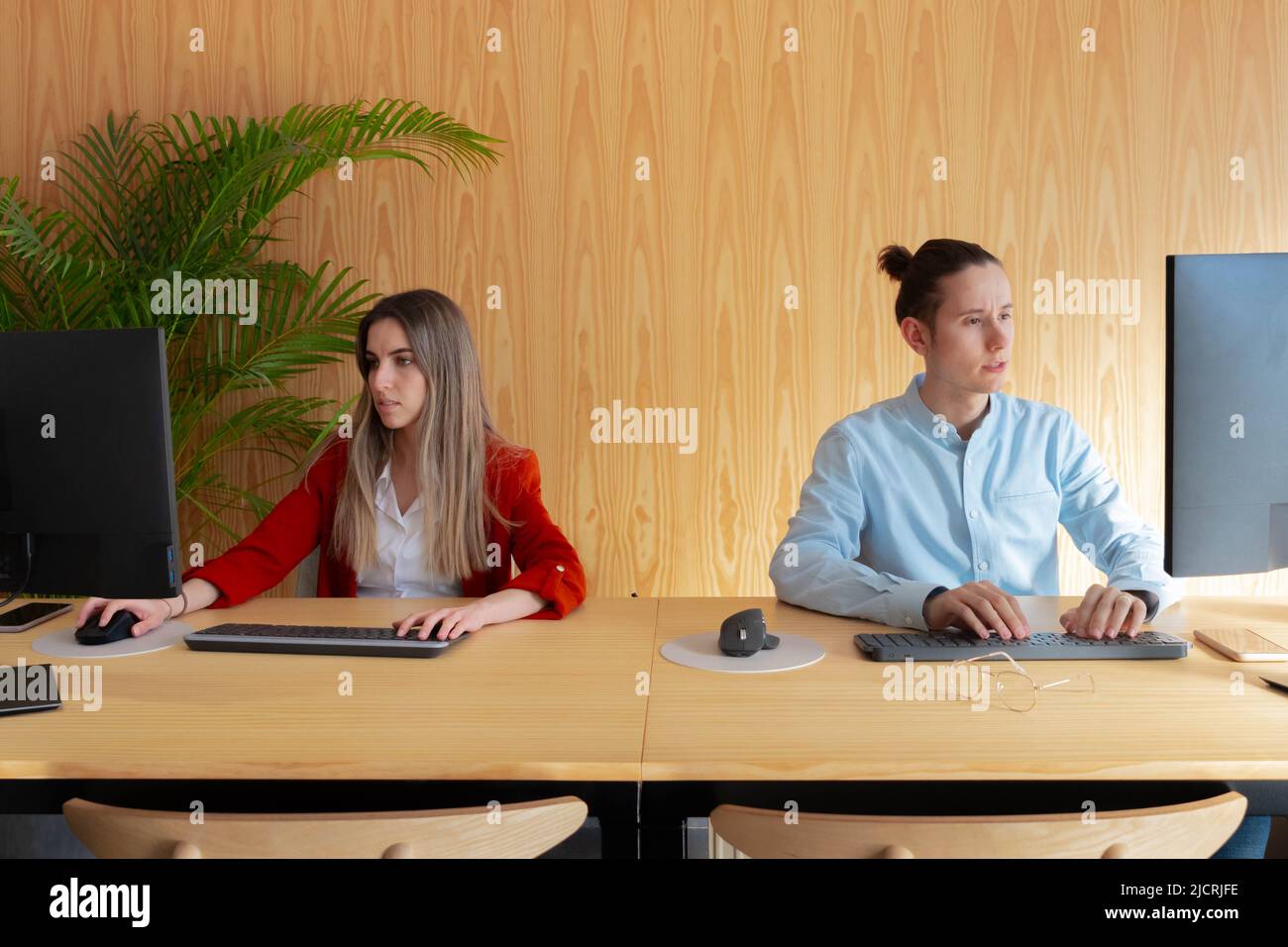 Two people, man and woman working in office with computers with plant ...