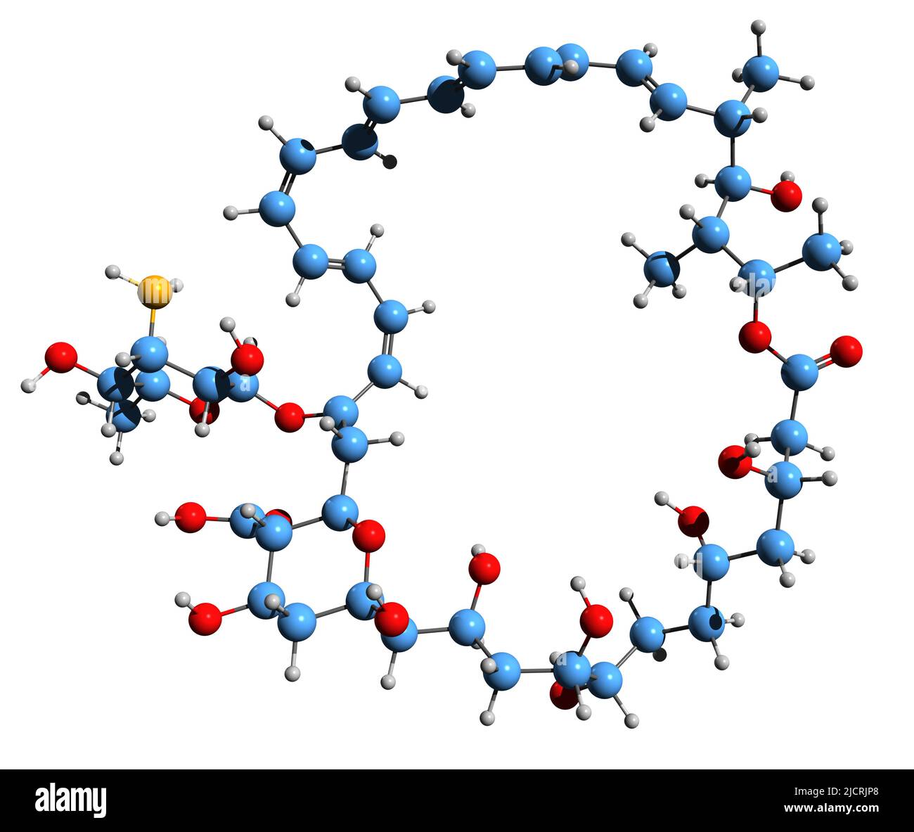 3D image of Amphotericin B skeletal formula - molecular chemical ...