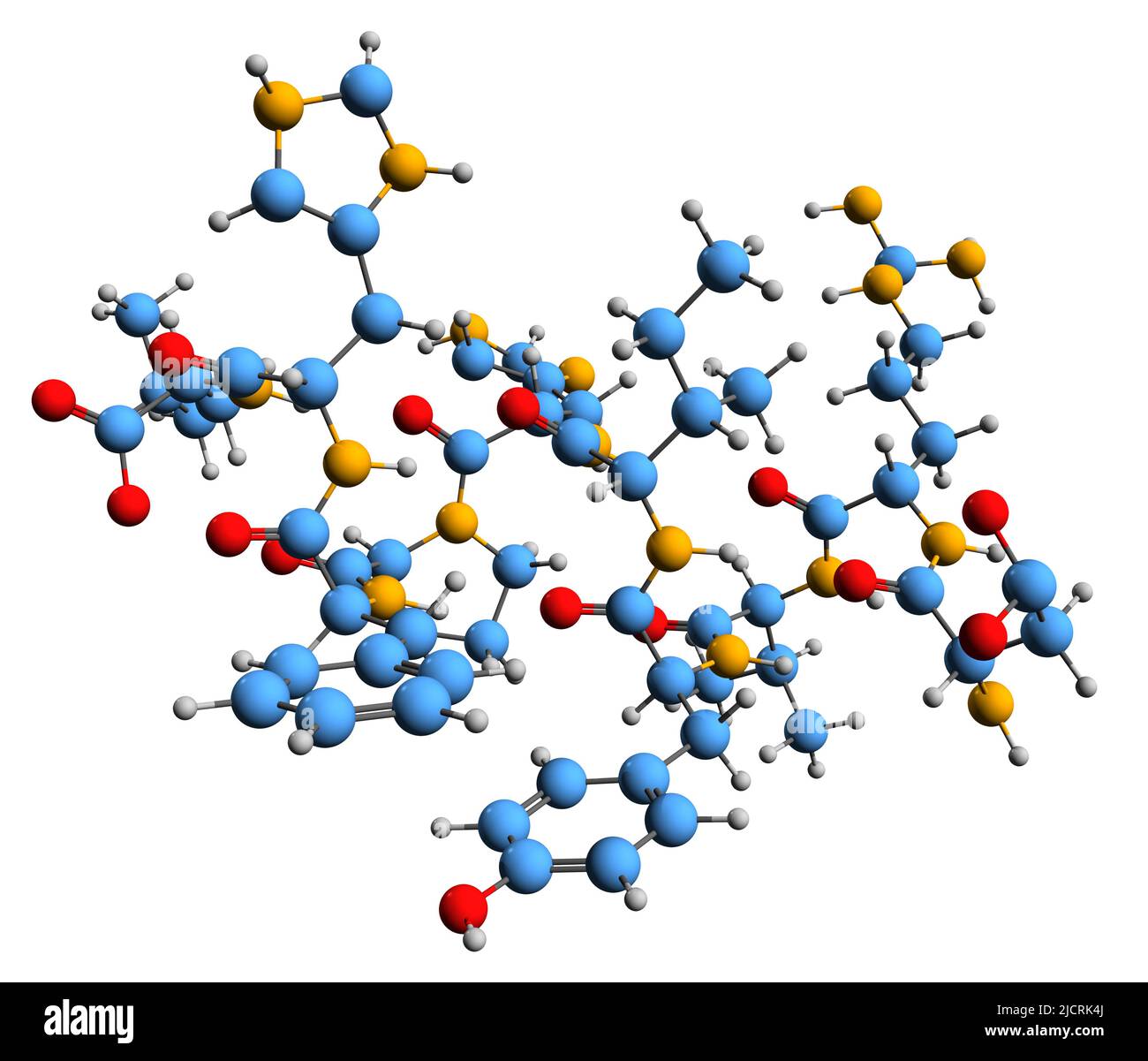 3D image of Angiotensin I skeletal formula - molecular chemical ...