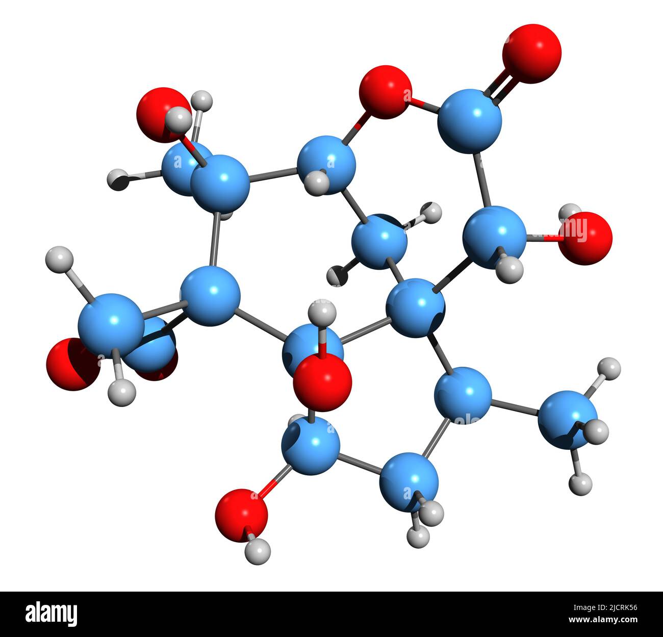 Anisatin hi-res stock photography and images - Alamy