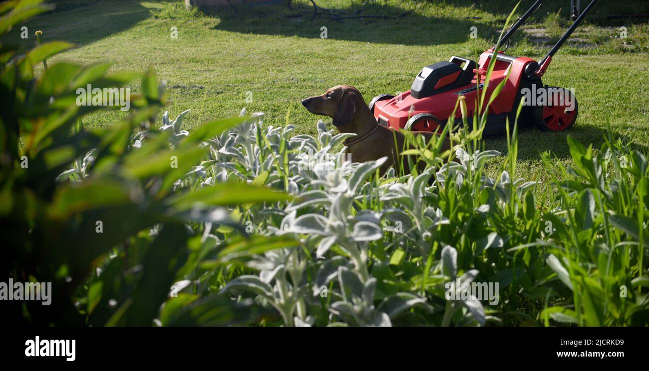 Lawn mower country yard hi-res stock photography and images - Alamy