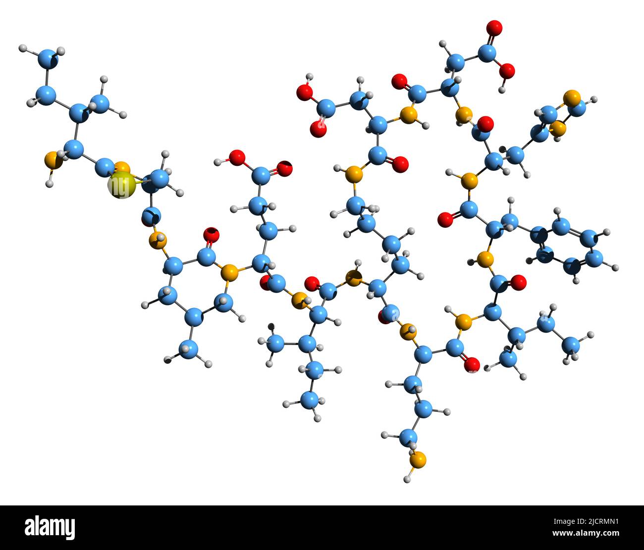 Cyclic peptides hi-res stock photography and images - Alamy