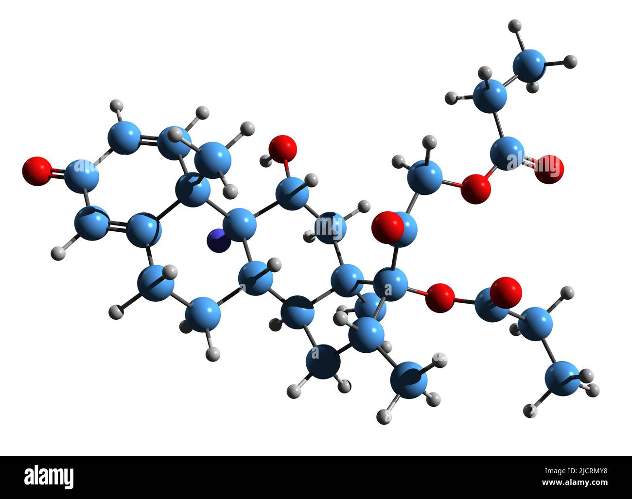 General Steroid Molecule