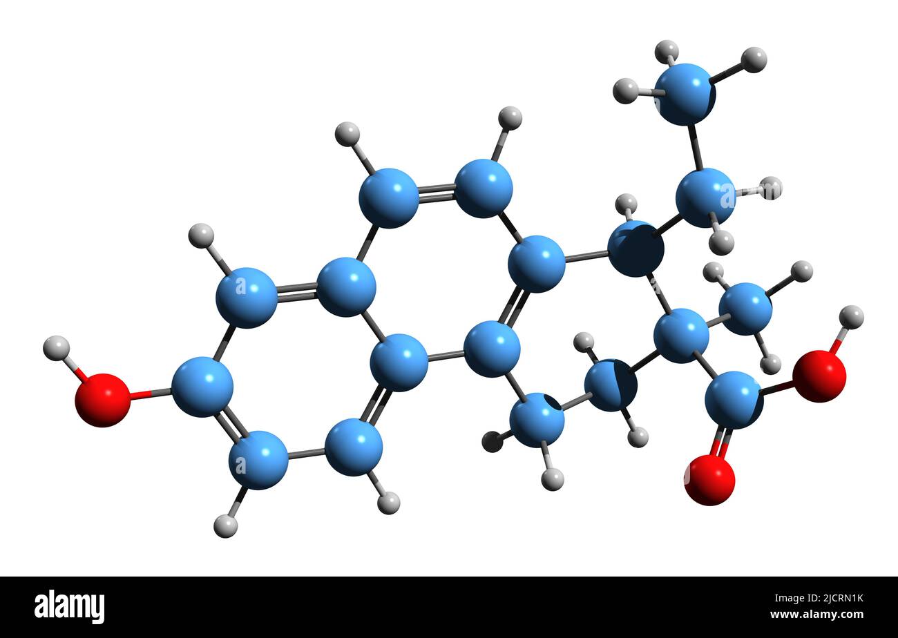 3D image of Bisdehydrodoisynolic acid skeletal formula - molecular ...