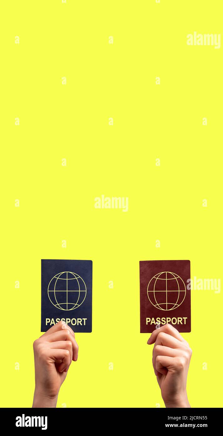 Immigration Passport Banner