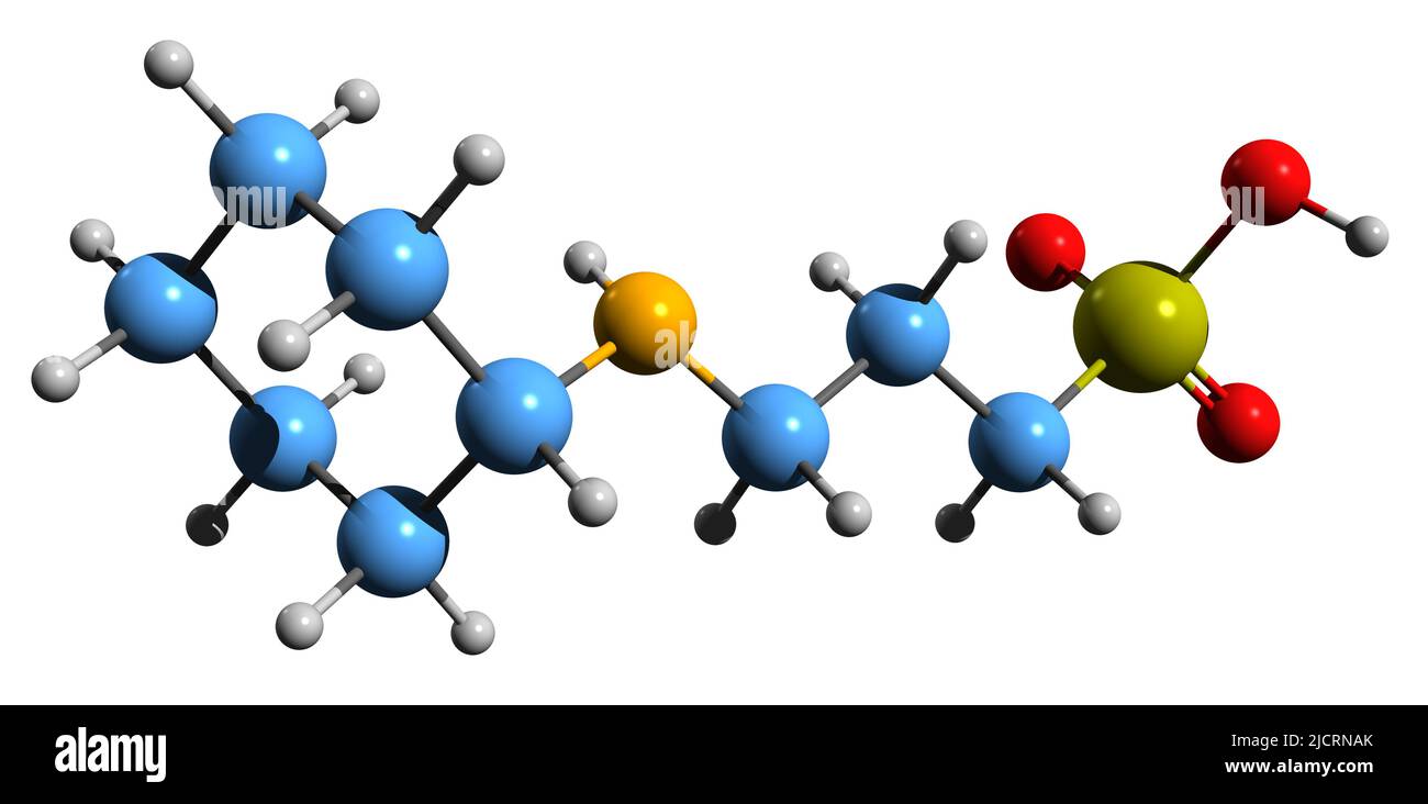 3D image of CAPS skeletal formula - molecular chemical structure of ...