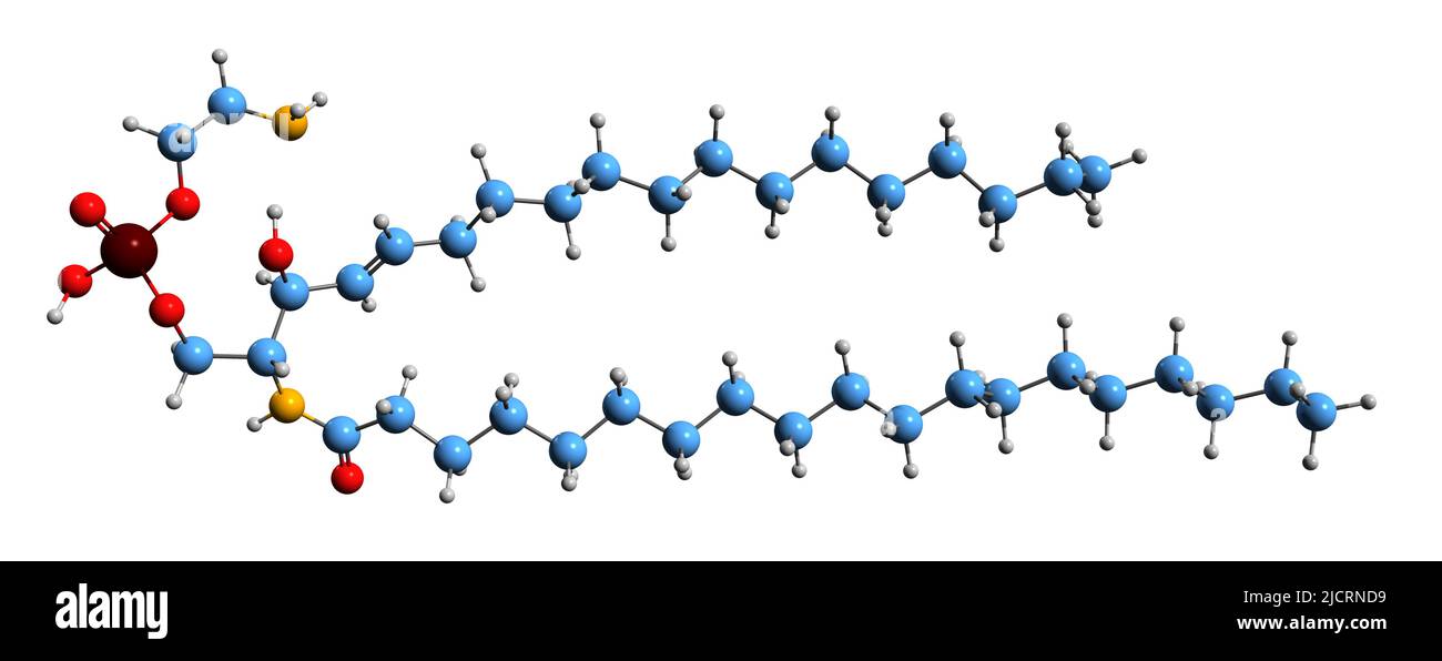 3D image of Ceramide phosphorylethanolamine skeletal formula ...