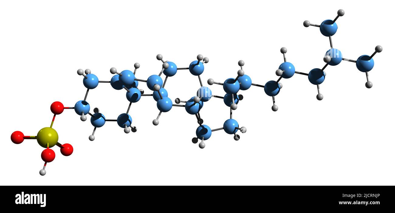 3D image of Cholesterol sulfate skeletal formula - molecular chemical ...
