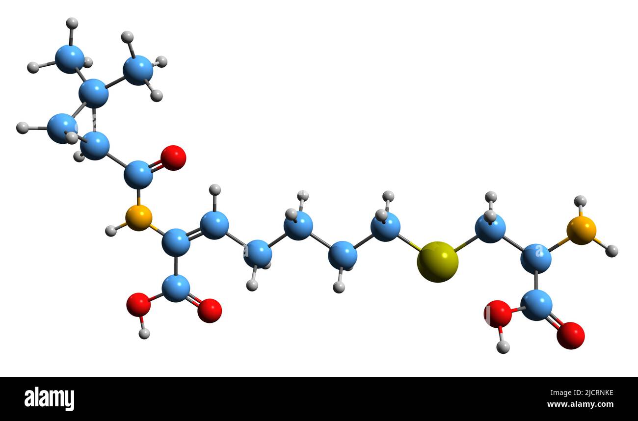 3D image of Cilastatin skeletal formula - molecular chemical structure ...
