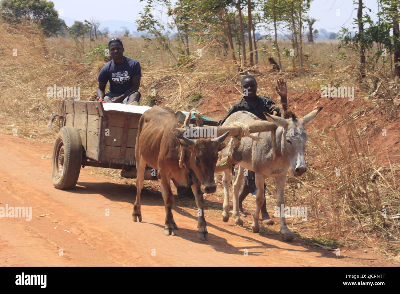 Sustainable transport africa hi-res stock photography and images - Alamy